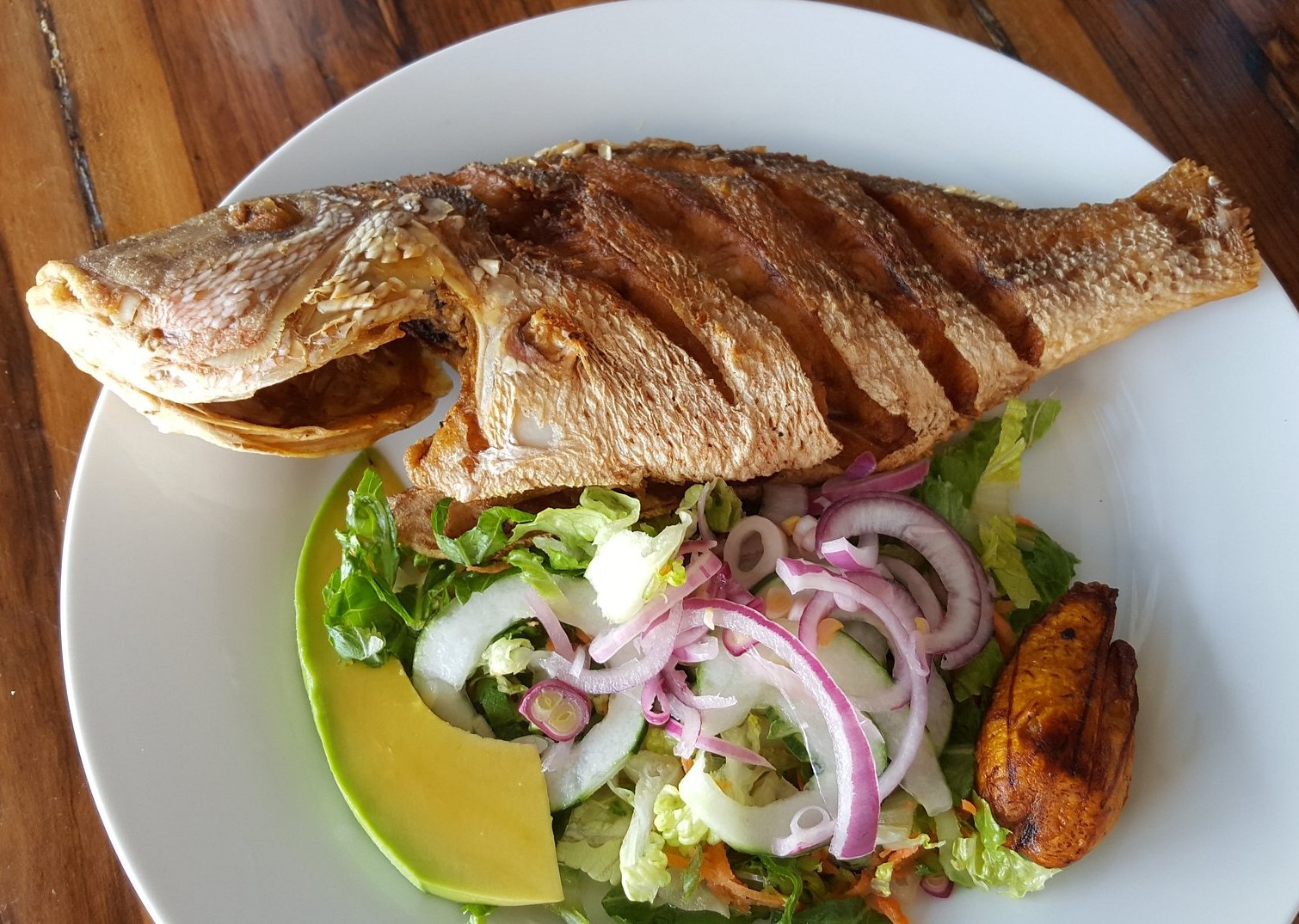 Local Food Curaçao: What to Eat and Where to Find It - The Curaçao Bible